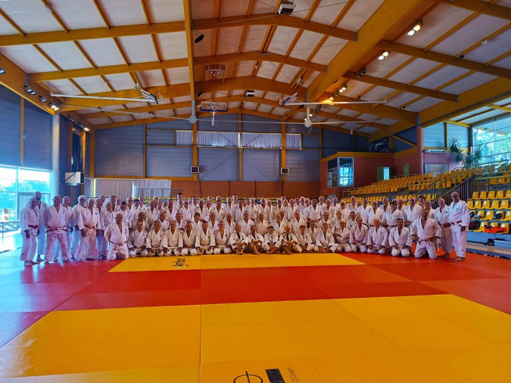 Nos articles - Dojo Academy