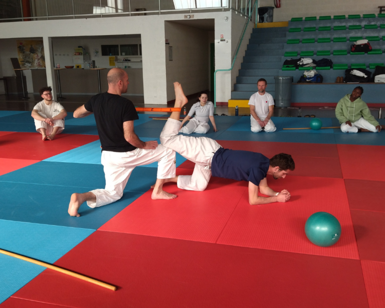 Nos articles - Dojo Academy