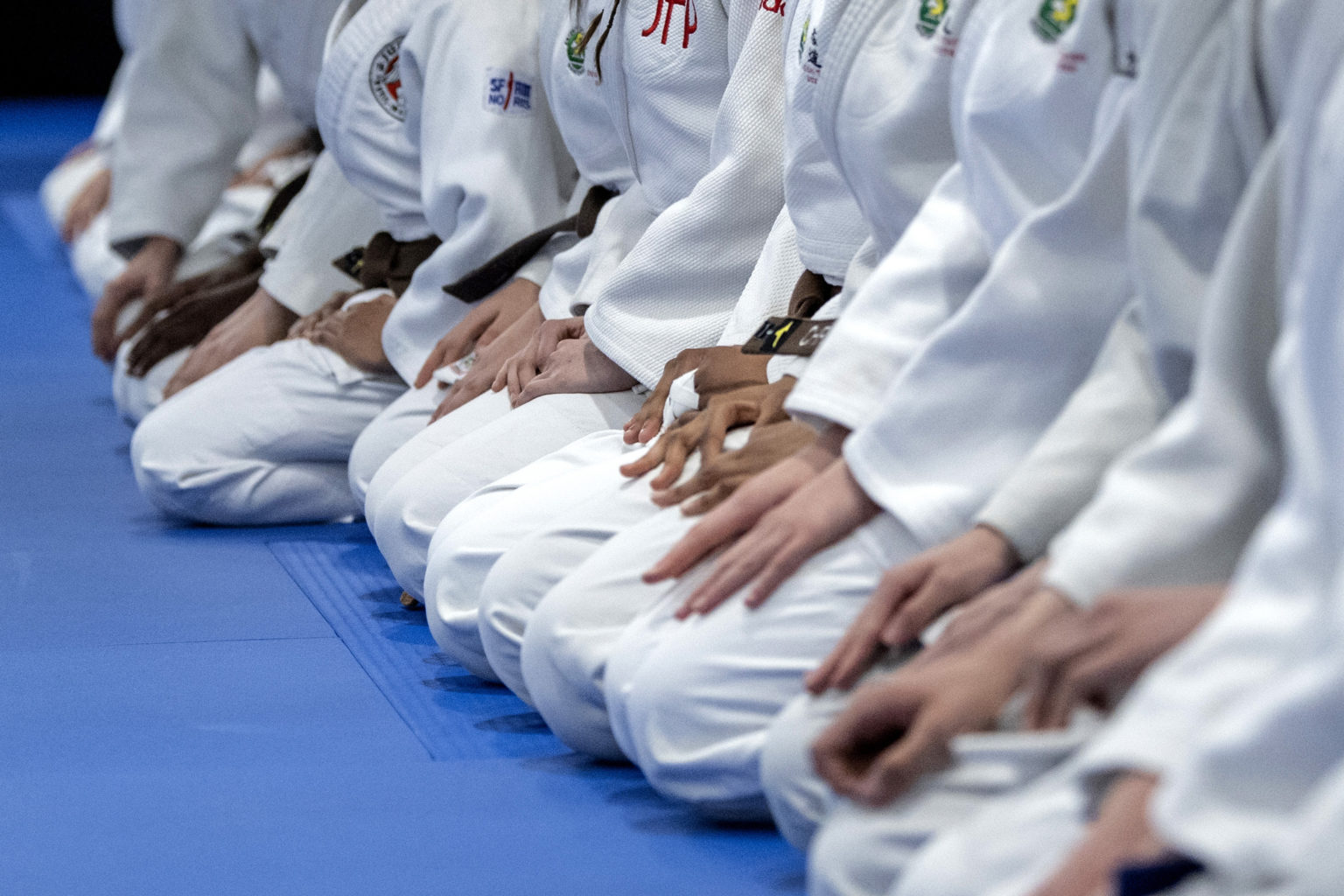 SÉMINAIRES JUJITSU CONTACT ET PASSAGES DE GRADE - Dojo Academy