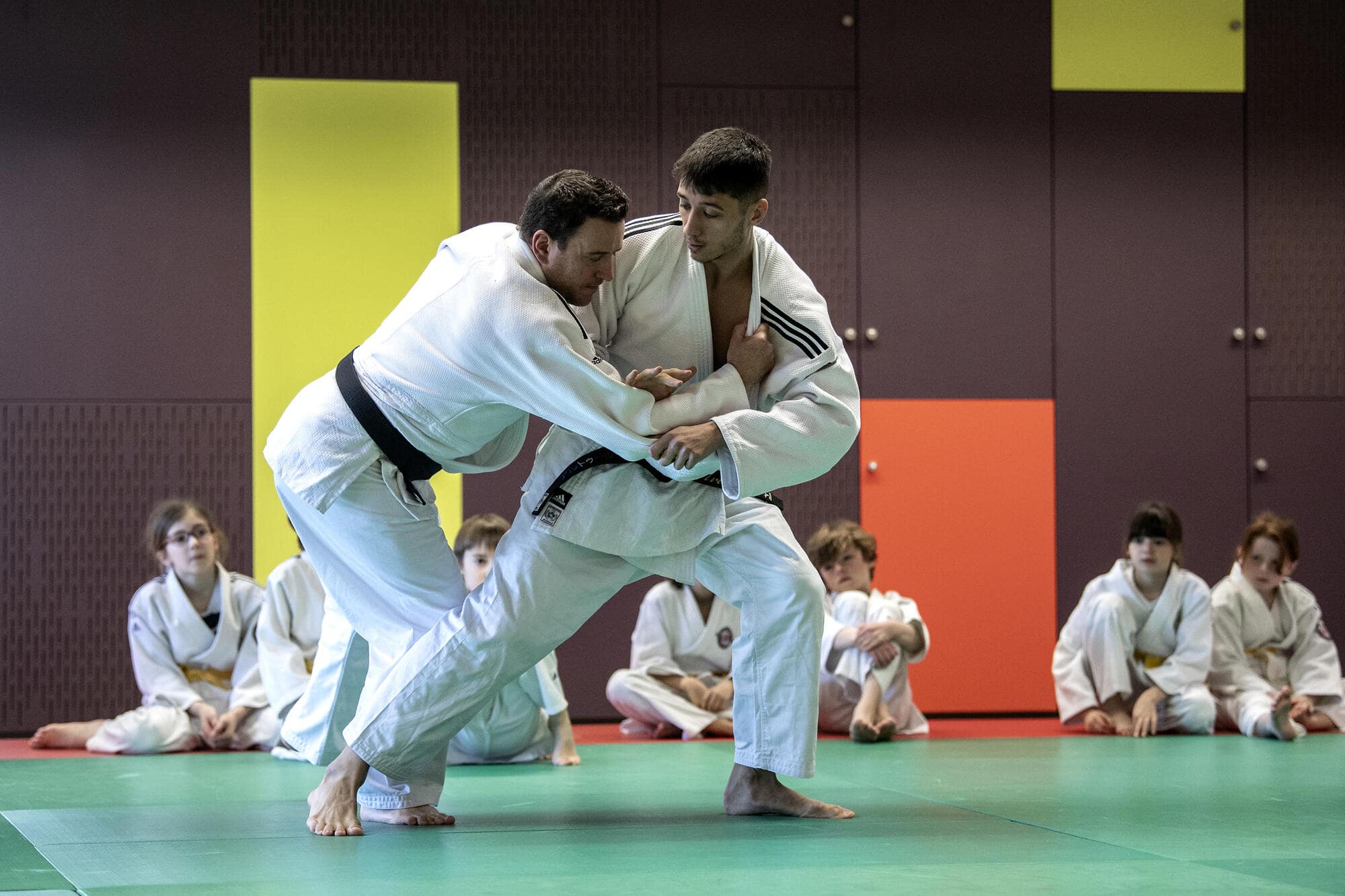 BREVET PROFESSIONNEL JUDO - Dojo Academy